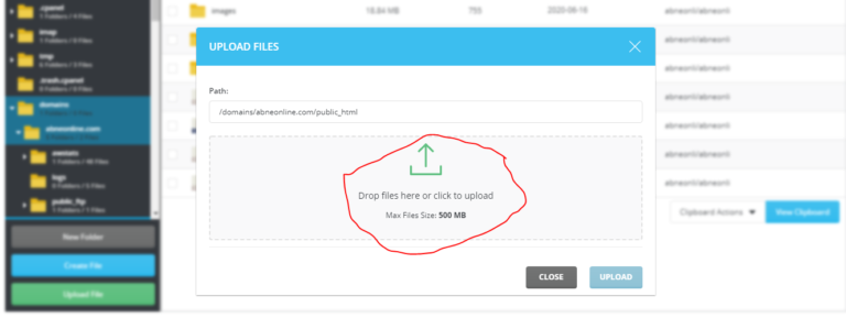 How to upload files in DirectAdmin - Shujaa Host