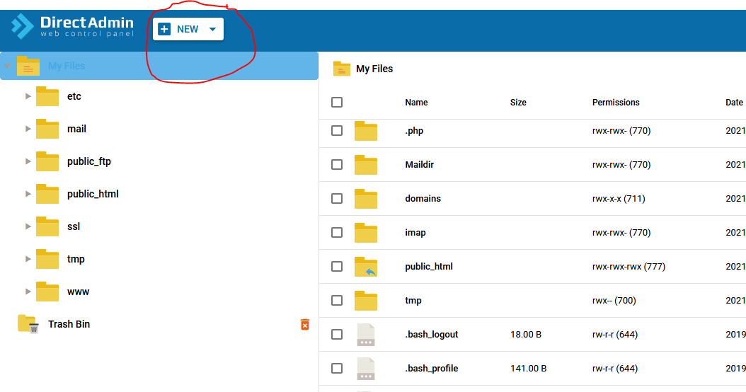 How to upload files in DirectAdmin - Shujaa Host